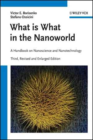 [PDF] What is What in the Nanoworld by Victor E. Borisenko, 3rd edition | 9783527411412 ...