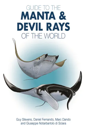 [PDF] Guide to the Manta and Devil Rays of the World by Guy Stevens ...