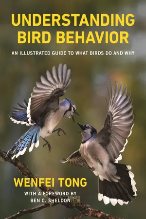 [PDF] Understanding Bird Behavior by Wenfei Tong | 9780691206004 ...