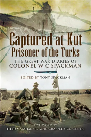 [PDF] Captured at Kut, Prisoner of the Turks by Tony Spackman ...
