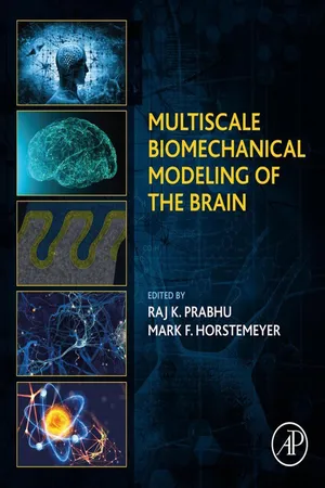 [PDF] Multiscale Biomechanical Modeling of the Brain by Mark F. Horstemeyer | 9780128181447 ...