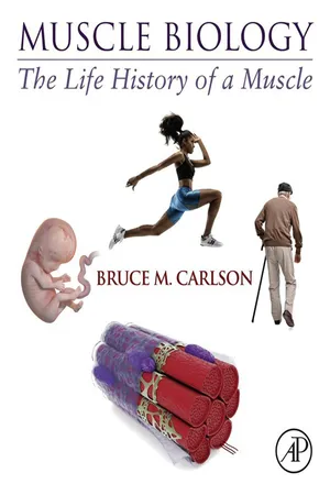 [PDF] Muscle Biology by Bruce M. Carlson | 9780128202784, 9780128202791