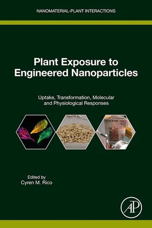 [PDF] Plant Exposure to Engineered Nanoparticles by Cyren Rico ...