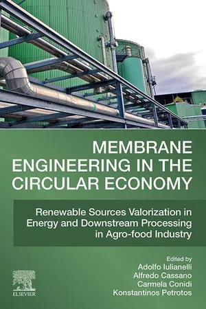 📖[PDF] Membrane Engineering in the Circular Economy de Adolfo Iulianelli eBook | Perlego