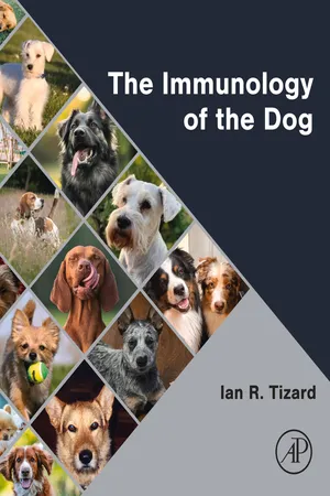 [PDF] The Immunology of the Dog von Ian R Tizard eBook | Perlego
