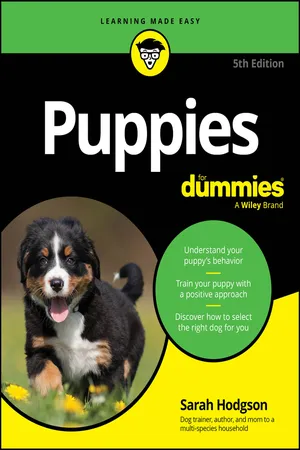 [PDF] Puppies For Dummies by Sarah Hodgson, 5th edition | 9781394321001 ...