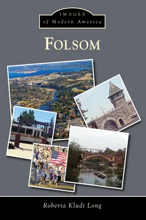 [PDF] Folsom by Roberta Kludt Long | 9781439650196