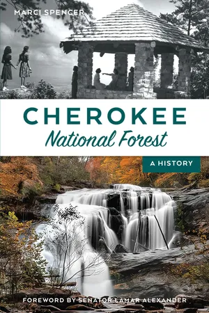 [PDF] Cherokee National Forest by Marci Spencer | 9781540264718