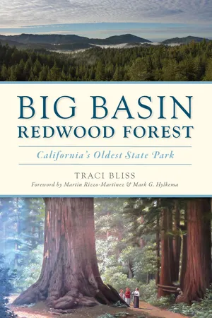 [PDF] Big Basin Redwood Forest by Traci Bliss | 9781439673560
