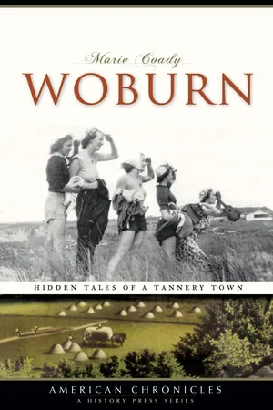 [PDF] Woburn by Marie Coady | 9781625848789