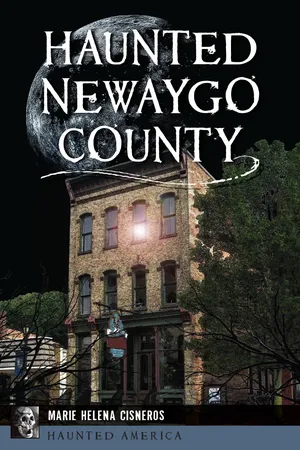 [PDF] Haunted Newaygo County by Marie Cisneros | 9781540263612