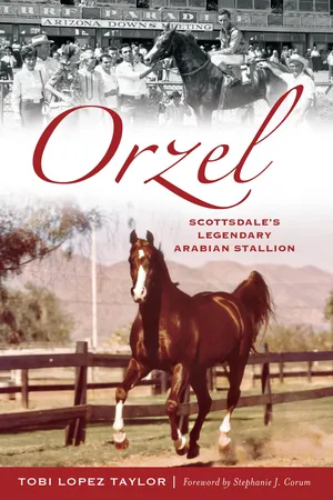[PDF] Orzel by Tobi Lopez Taylor | 9781625854964