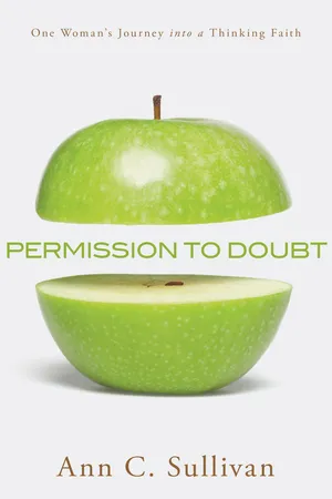 [PDF] Permission to Doubt by Ann C. Sullivan | 9780825485558