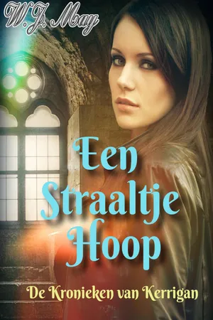 [PDF] Een Straaltje Hoop by W.J. May | 9781071533048