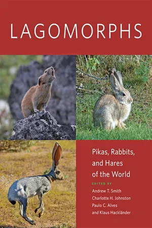 [PDF] Lagomorphs by Andrew T. Smith | 9781421423418