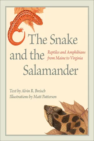 [PDF] The Snake and the Salamander by Alvin R. Breisch | 9781421421582