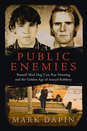 [PDF] Public Enemies by Mark Dapin | 9781760874971