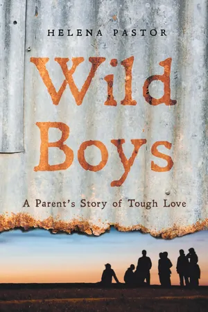 [PDF] Wild Boys by Helena Pastor | 9780702255403