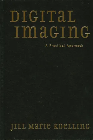 [PDF] Digital Imaging by Jill Marie Koelling | 9781461647676
