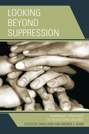 [PDF] Looking Beyond Suppression by Erika Gebo | 9780739176559