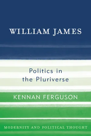 [PDF] William James by Kennan Ferguson | 9781461647188