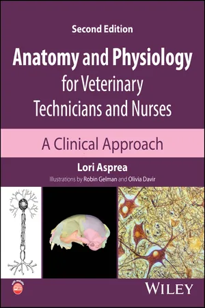 [PDF] Anatomy and Physiology for Veterinary Technicians and Nurses by ...