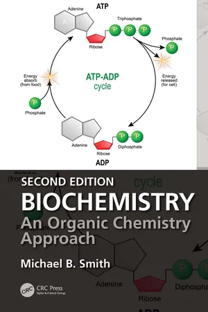[PDF] Biochemistry by Michael B. Smith | 9781040664131