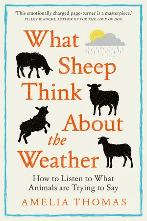 [PDF] What Sheep Think About the Weather by Amelia Thomas | 9781783969241
