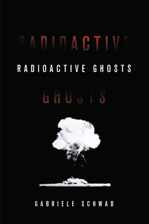[PDF] Radioactive Ghosts by Gabriele Schwab | 9781452961439