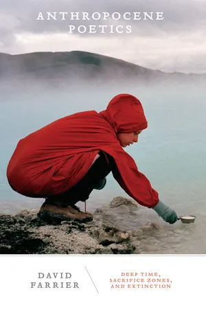 [PDF] Anthropocene Poetics by David Farrier | 9781452959528