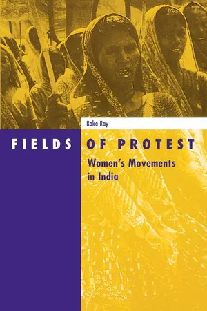 [PDF] Fields Of Protest by Raka Ray | 9780816689057
