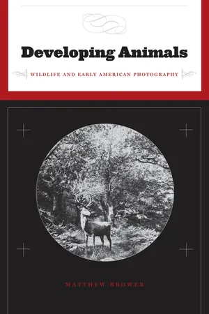 [PDF] Developing Animals by Matthew Brower | 9780816674961