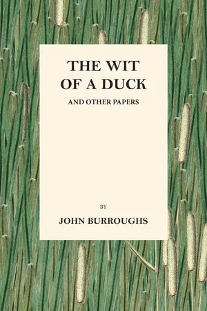 [PDF] The Wit of a Duck and Other Papers by John Burroughs ...